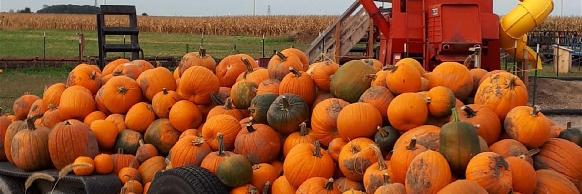 Tilbilly Halloween Adventure Farm - Chatham-Kent | VisitCK Tilbilly Halloween Adventure Farm - Chatham-Kent | VisitCK